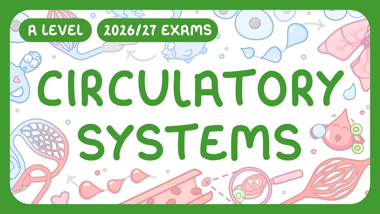 A-Level Biology - Circulatory Systems - Why We Need Them | Key ...