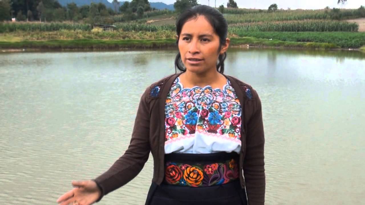 Manuel Elias y Irma Lopez Ya no llores mas - YouTube