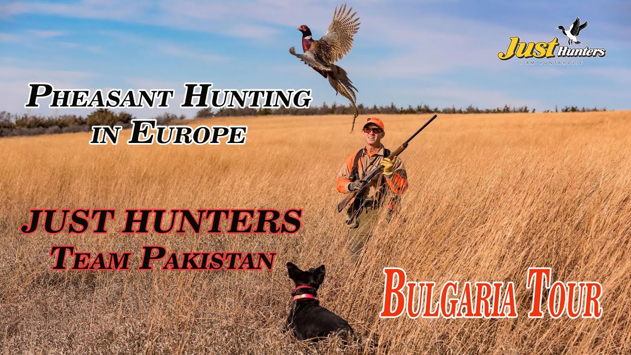 Pheasant Hunting in Bulgaria Europe 2018 by Just Hunters Team - YouTube