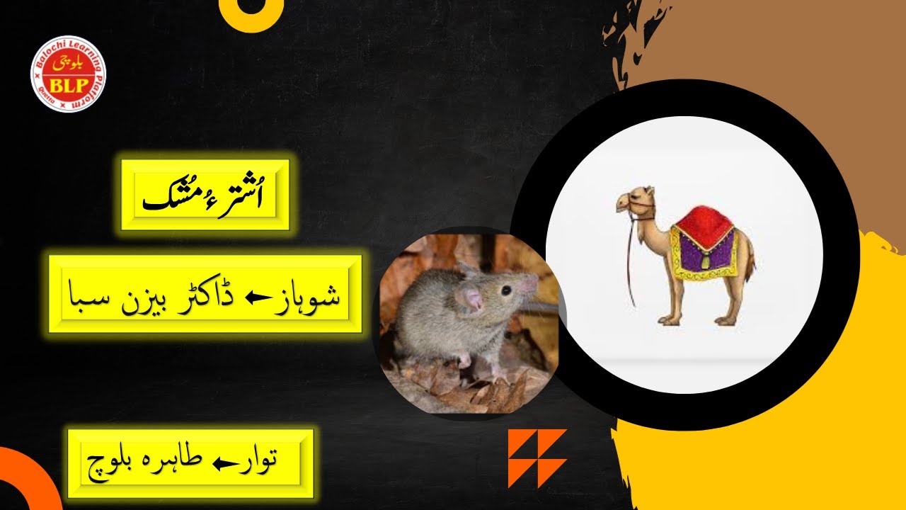 Oshtir o Moshk|Dr Beezan Saba|Folklore|Tahira Baloch|Balochi Literature ...