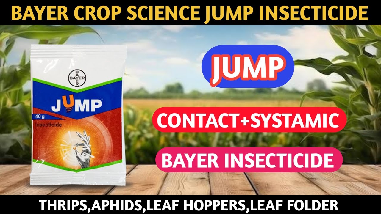 Jump insecticide | Bayer jump insecticide | Jump insecticide dose ...