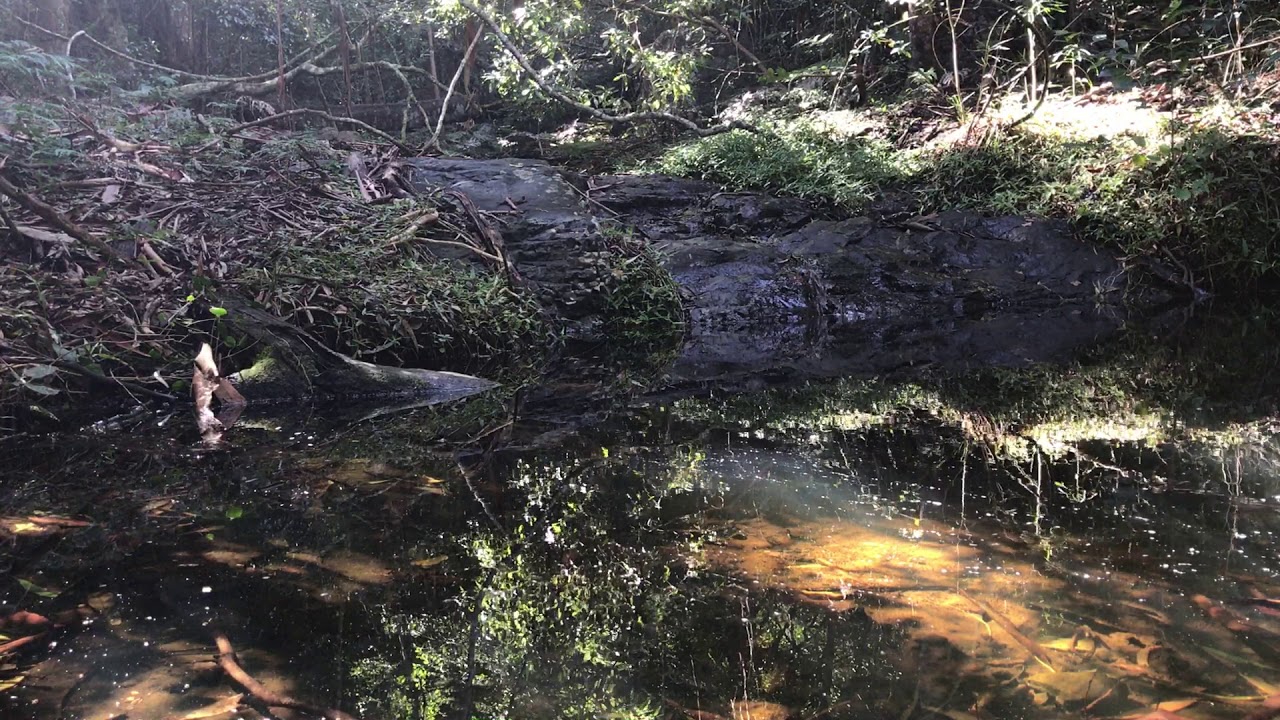 Tranquil Mountain Rock Pool - YouTube