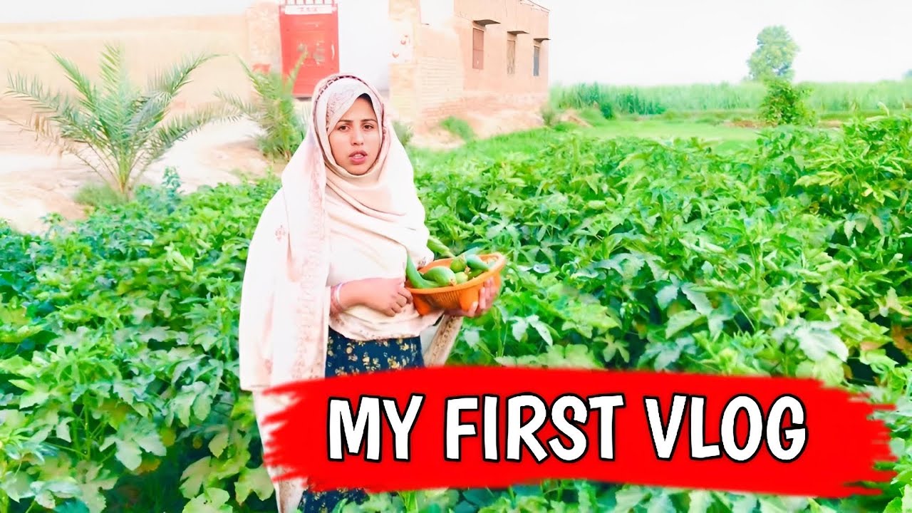 My First Vlog || My Family Vlog - YouTube