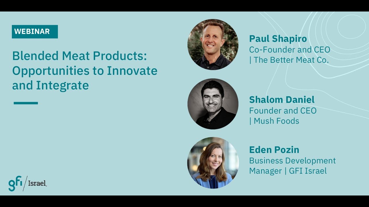 Blended Meat Products Opportunities to Innovate and Integrate - 18 ...