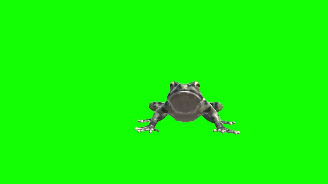 Cute Animated Nodding Frog Green Screen Free Stock Video - YouTube