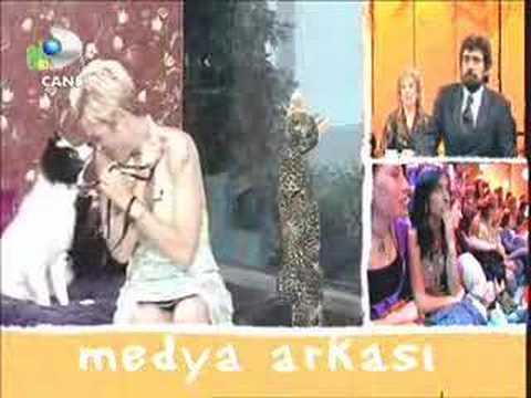 program kazası