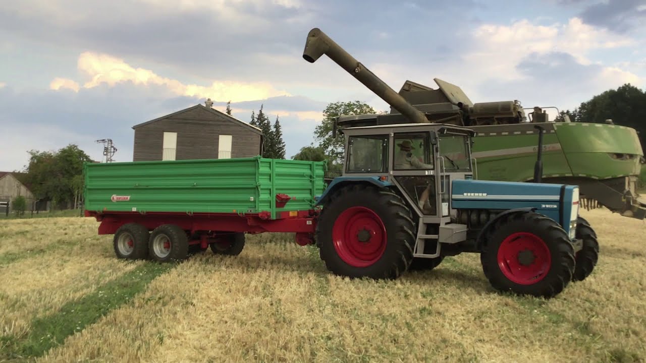 Eicher 3105 - Sommergerstenernte mit Fendt 6335 CPL Mähdrescher - YouTube