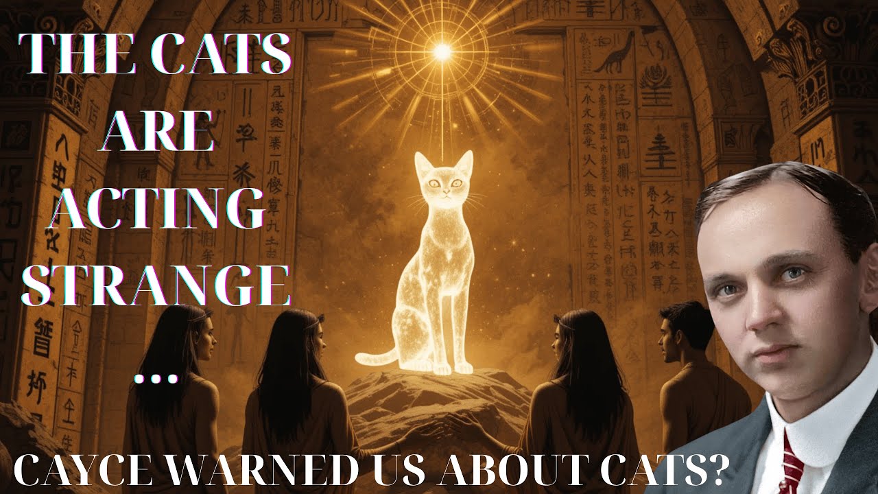 Cats & Prophecy: Edgar Cayce’s Prediction Is Manifesting Today - YouTube
