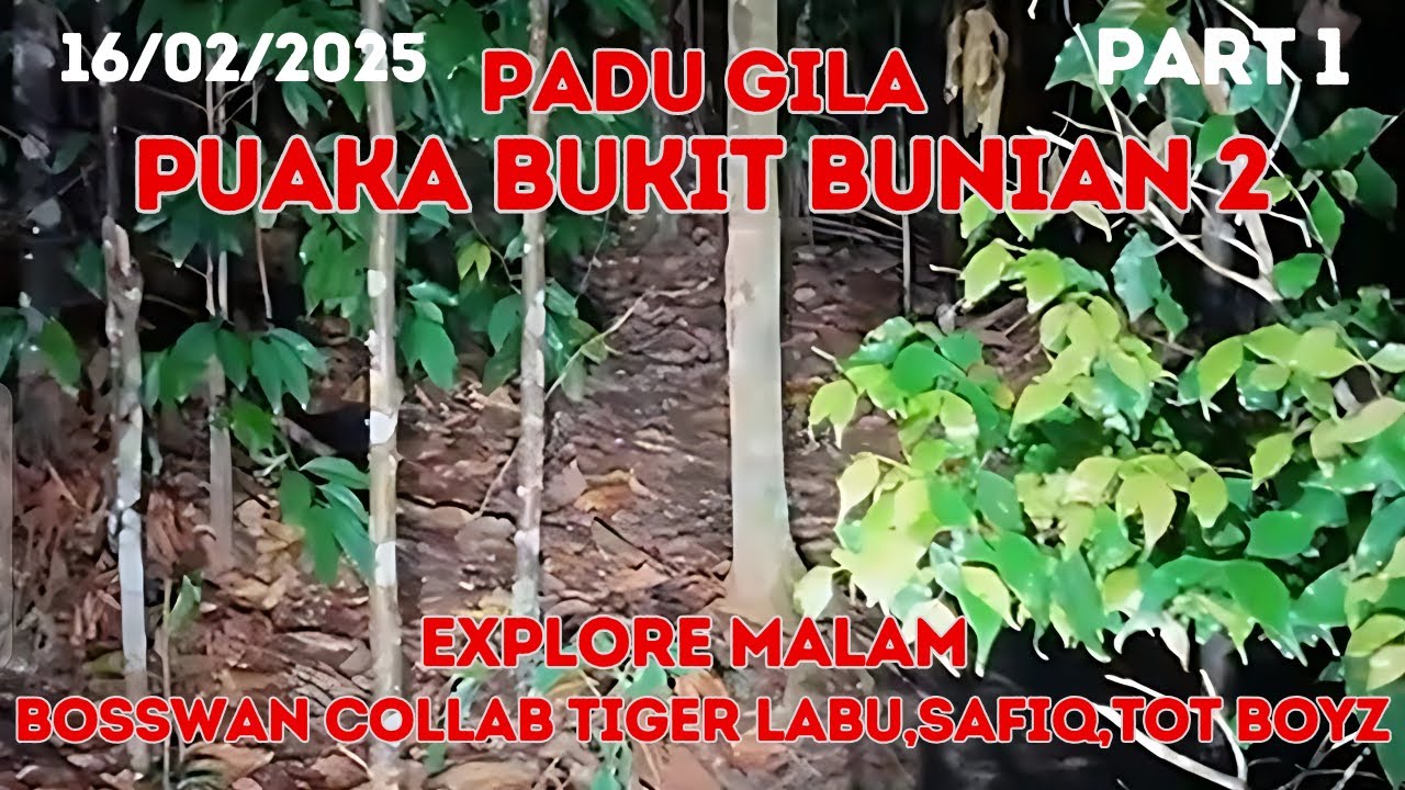 padu gila bosswan collab tiger labu,safiq tot boy para part 1/5 di ...