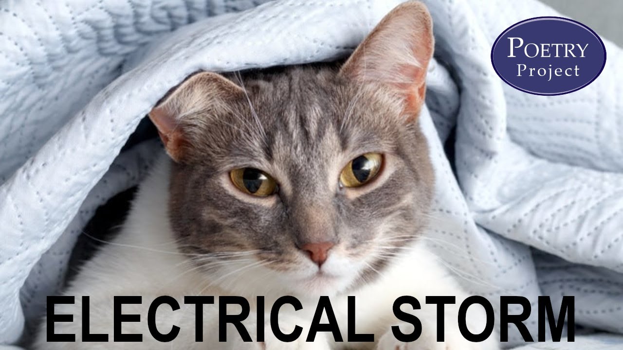 Electrical Storm - Elizabeth Bishop - Read by Wendie Marks - YouTube