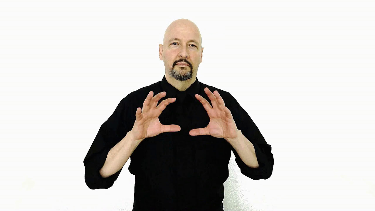 group [non-initialized version] / category / cluster / section ...