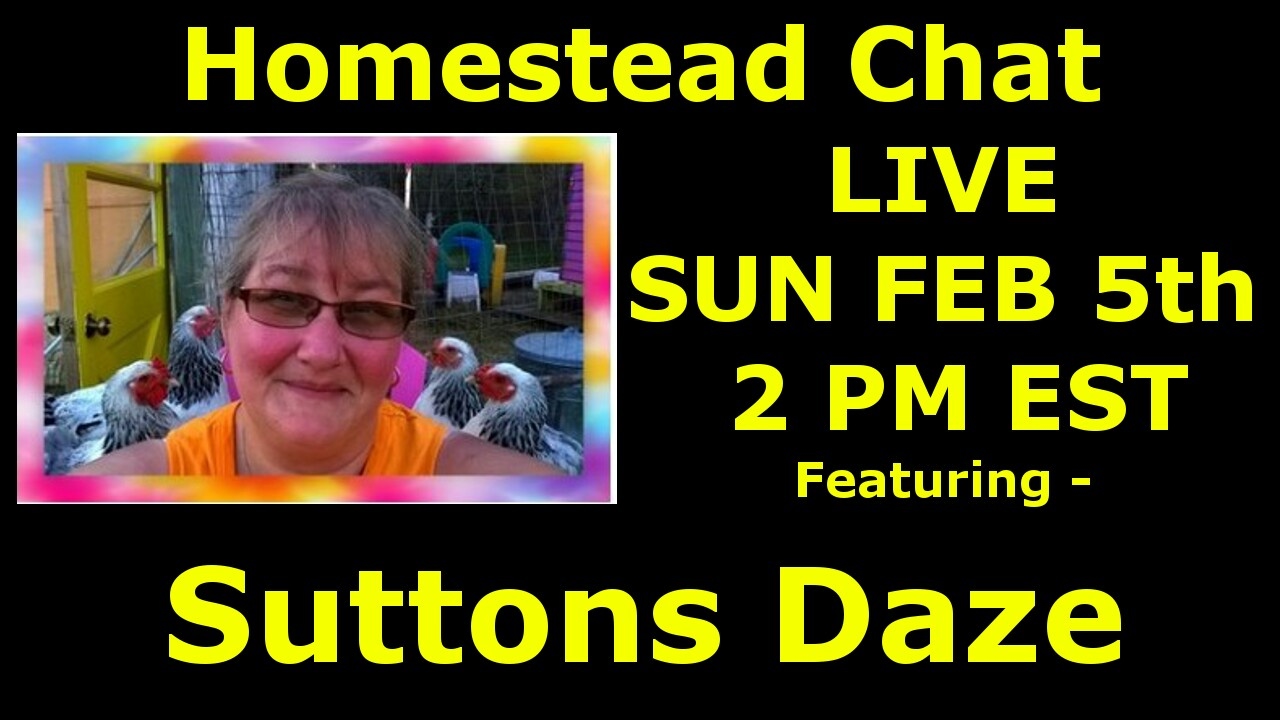 LIVE Sunday Feb 5th at 2 PM With Suttons Daze!!! - YouTube