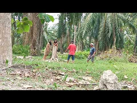 TERGODA DUA SUKU MANTE CANTIK BEGINI JADINYA