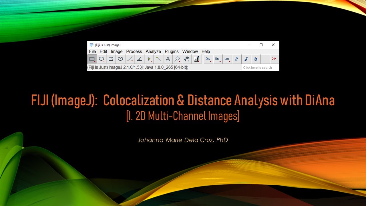 FIJI (ImageJ): Colocalization & Distance Analysis with DiAna [I. 2D ...