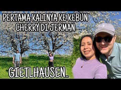PERTAMA KALI KE KEBUN CHERRY DI JERMAN | GIETLHAUSEN #jermanvlog