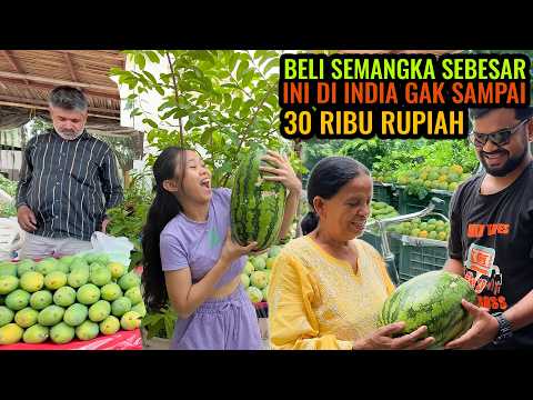 BELI SEMANGKA JUMBO DI INDIA HARGANYA MURAH AUTO BIKIN JUS SEMANGKA UNTUK KELUARGA‼️