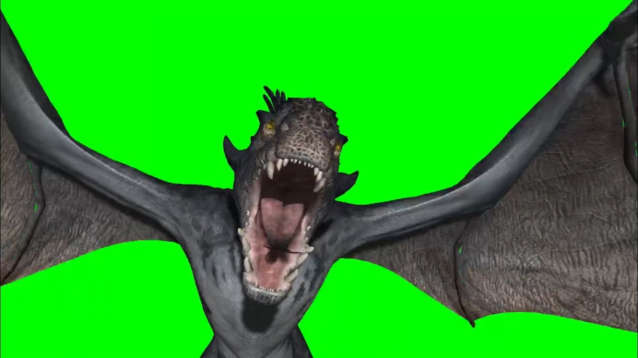 Green Screen Dragon flying new angles - YouTube