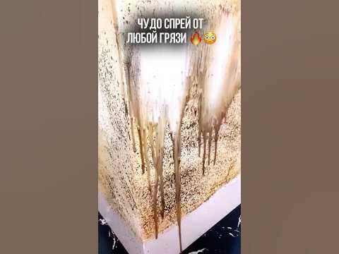 Спрей, который убирает ЛЮБУЮ грязь🔥🔥 - YouTube