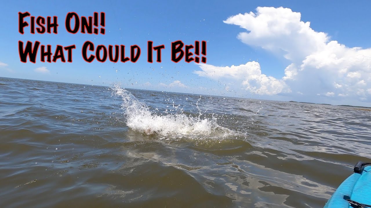 FISH ON!! WHAT COULD IT BE!! Slow Fun Day - YouTube