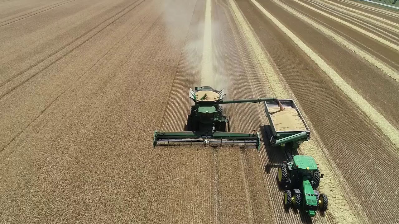 Harvesting Wheat at Deerfield Farms - YouTube