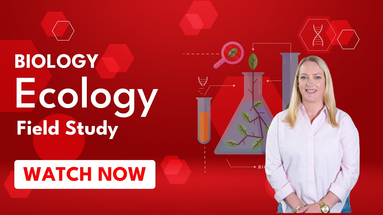 Ecology | Field Study - YouTube