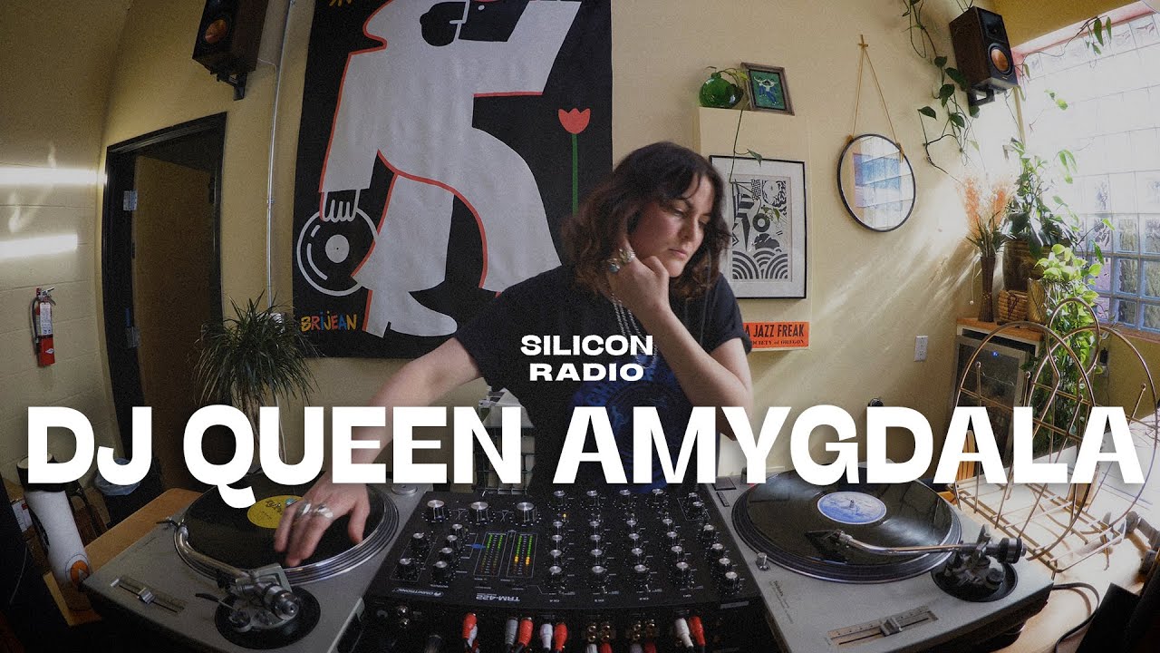 80's Italo Disco Vinyl Mix with DJ Queen Amygdala - YouTube