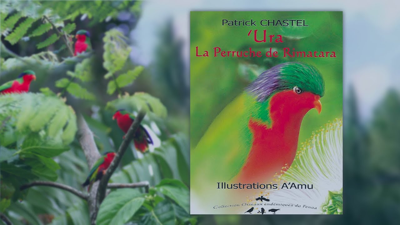 'Ura, la Perruche de Rimatara - Patrick CHASTEL | Cycle 2 - FR (2021 ...