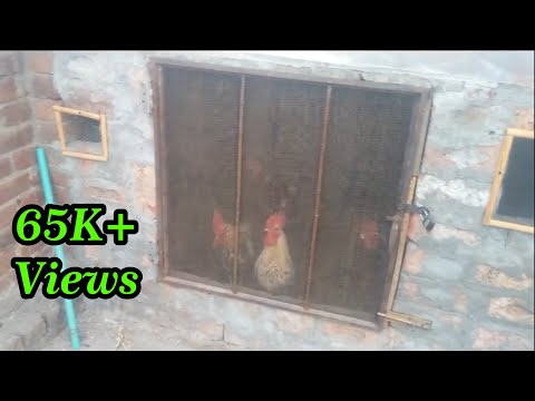 Homemade Hens House - YouTube