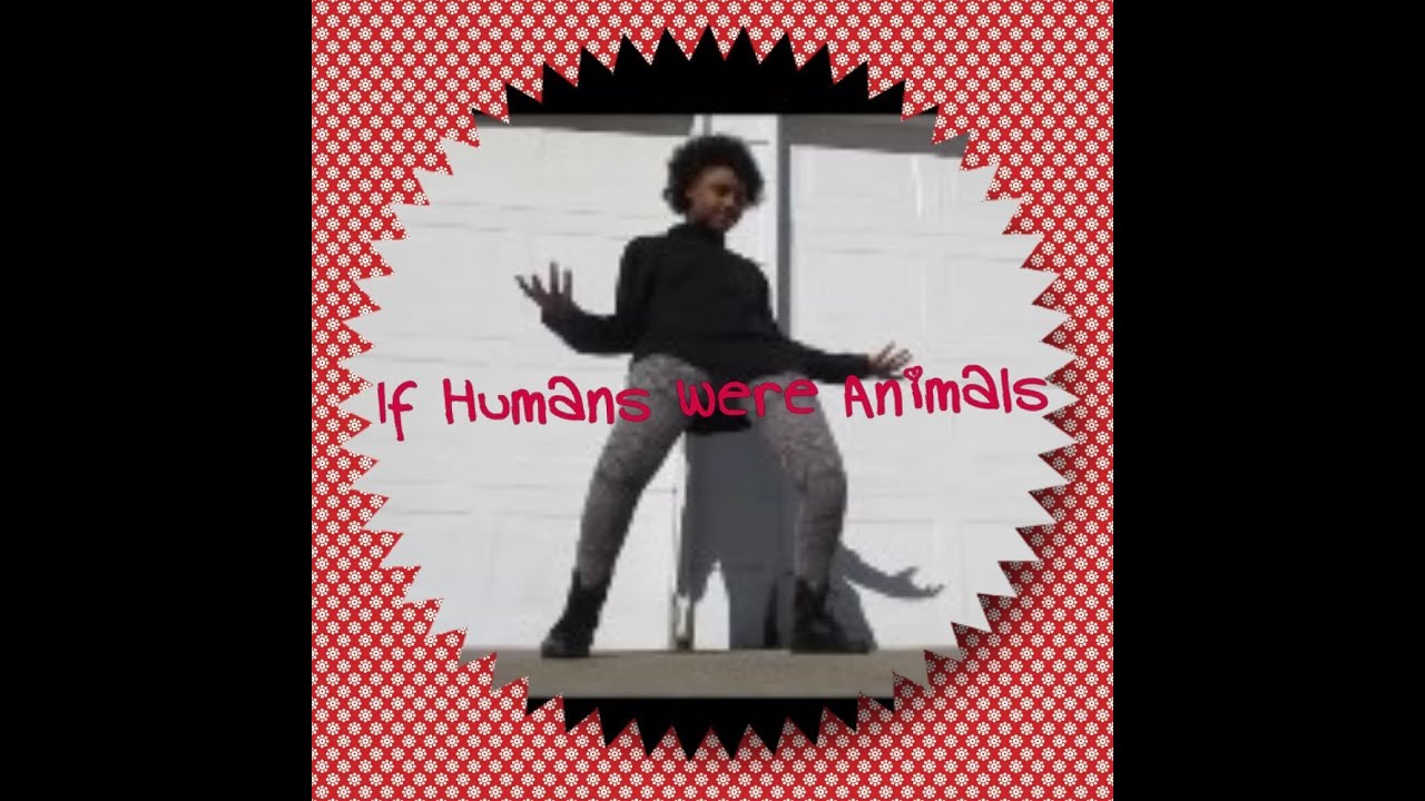If Humans were Animals - YouTube