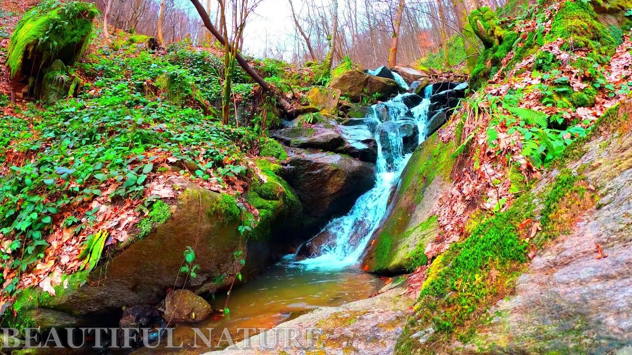 Beautiful Nature / meditation music / relaxing music / nature sounds ...