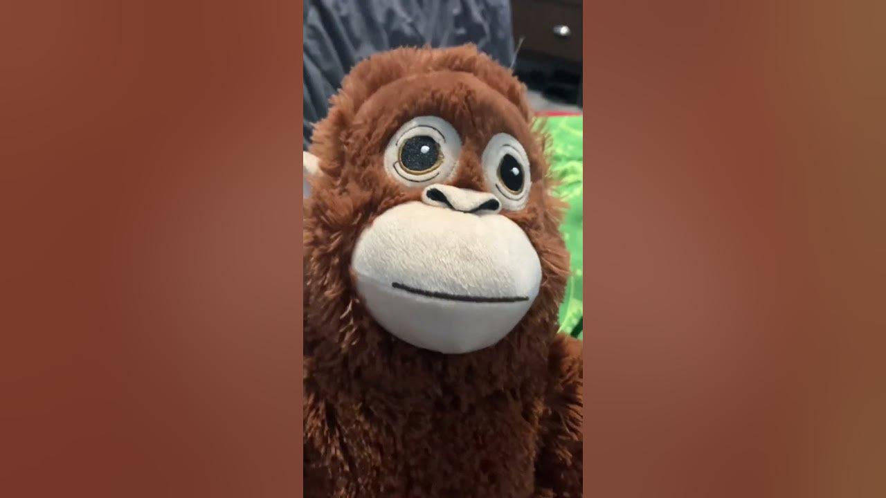 Gerald the monkeys life lesson - YouTube