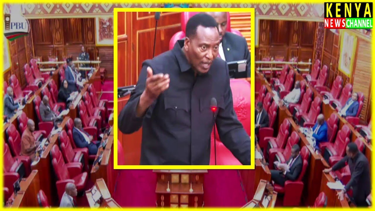 TOTAL SILENCE as Brilliant Senator Onyonka oozes Wisdom on the Floor of ...