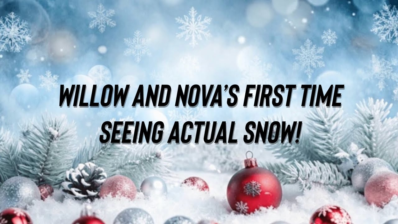WILLOW & NOVA’S First TIME SEEING ACTUAL SNOW! (Vlogmas:2) [TheSkiFamVlogs] - YouTube