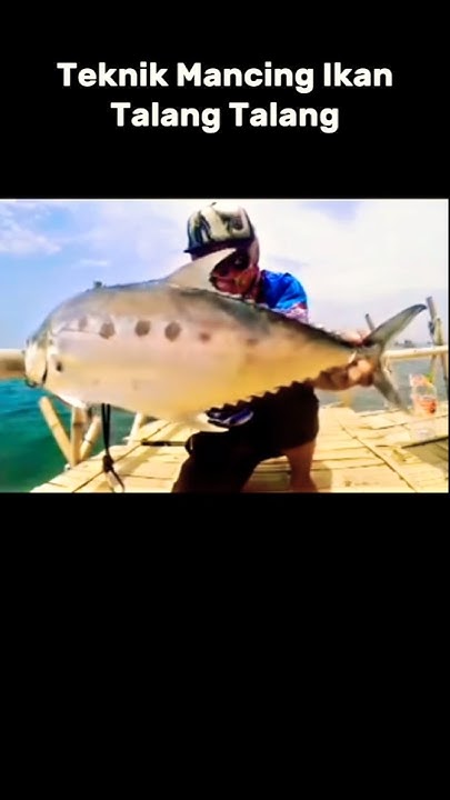 Teknik Mancing Ikan Talang Talang - YouTube