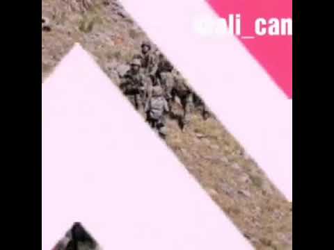 Mustafa ceceli  kiymetlim  mehmetçik