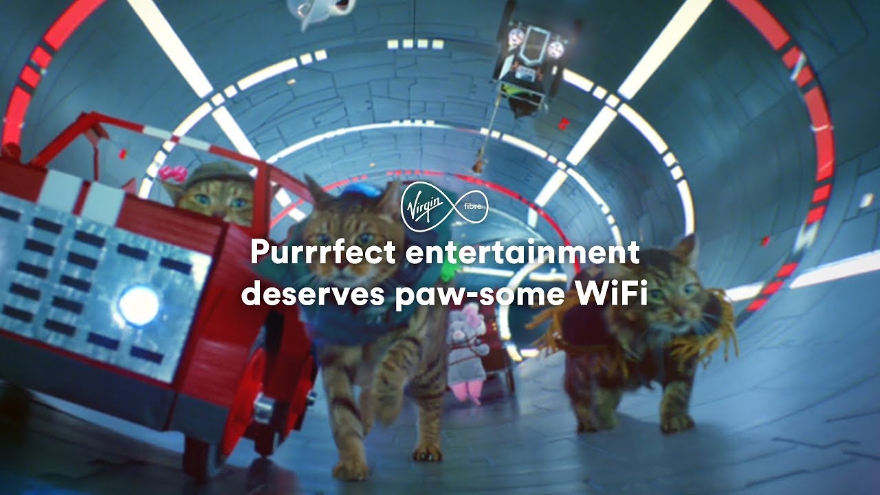 Virgin Fibre | Cat Cable - YouTube