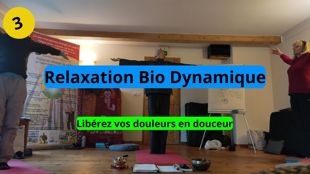 BIEN-ÊTRE : 🧘‍♂️ La Relaxation Bio-Dynamique 😃 SOULAGER vos douleurs ...