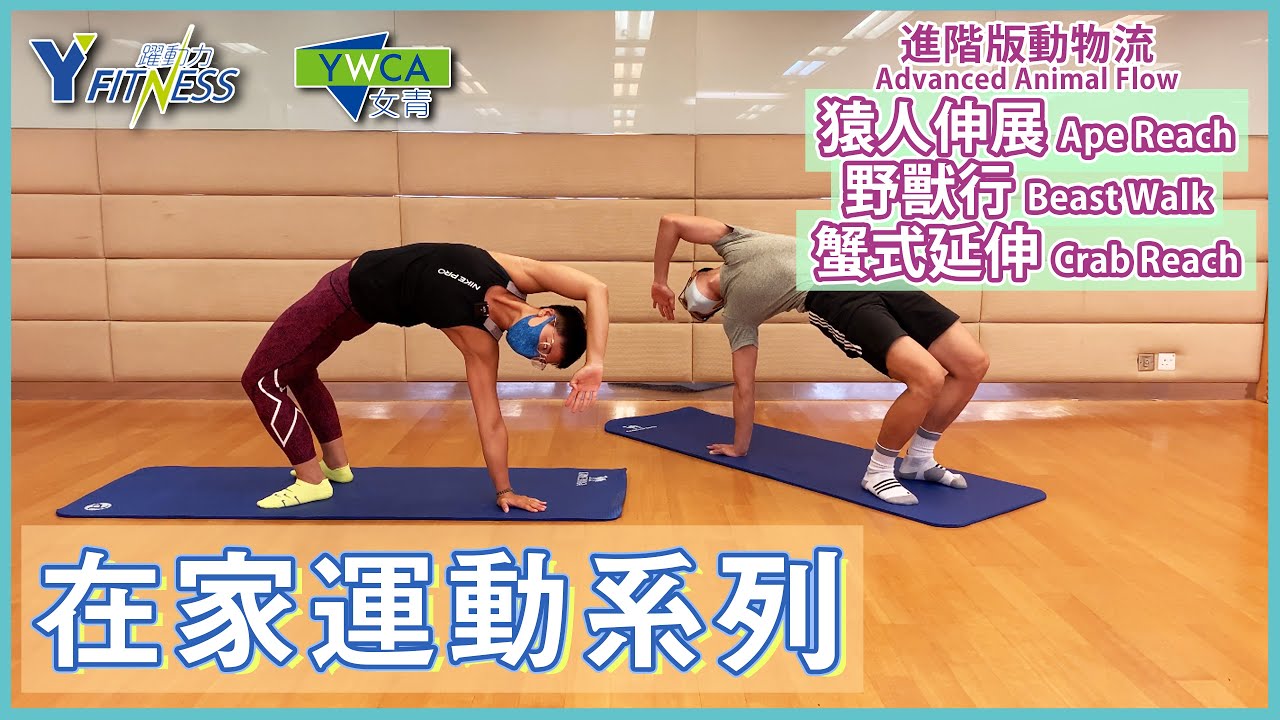 YWCA Y Fitness 躍動力 || 在家運動系列 Ep15【進階版動物流 Advanced Animal Flow】 - YouTube