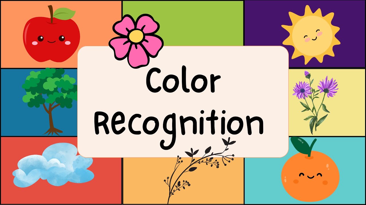 Learn Colors with Fun Games | Color Recognition for Toddlers - YouTube