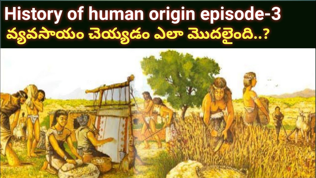 ఆది మానవుడు వ్యవసాయం చెయ్యడం ఎలా నేర్చుకున్నాడు..|| History of human ...