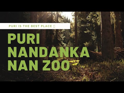 PURI NANDANKANAN ZOO WOW IS THE BEST ZOO BEST PLACE PURI 👌👌 - YouTube