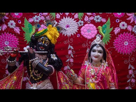 Today's shri Krishan Darshan At iskon #iskon #iskon vrindavan - YouTube
