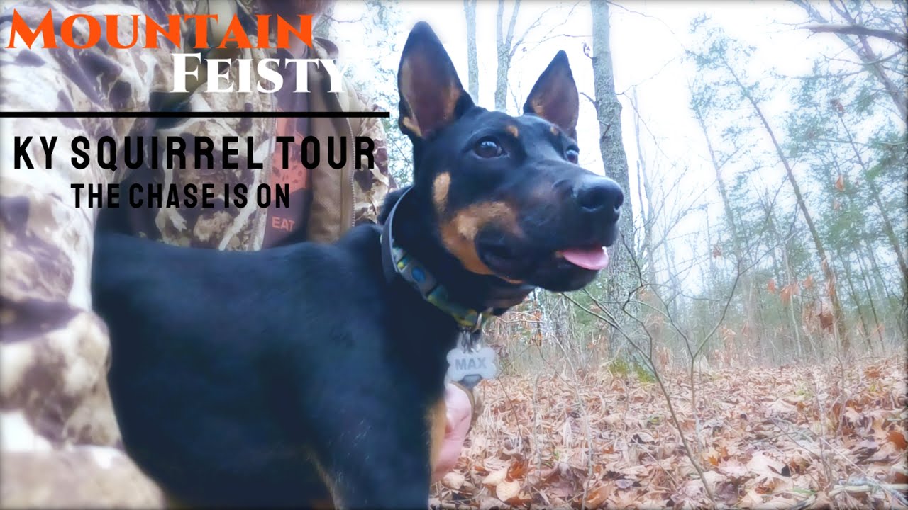 Public Land Squirrel Hunt - KY Squirrel Tour S1E6 - The Chase Is ON ...