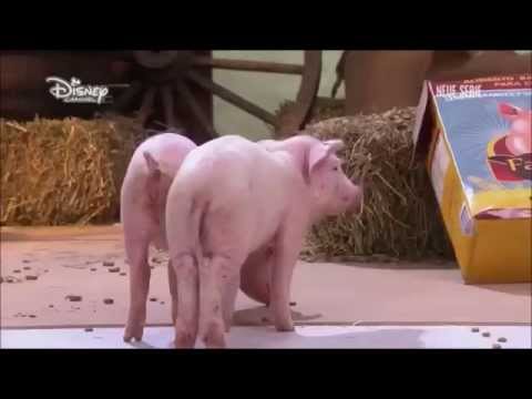 Violetta: Ludmila als Schwein (Folge 22)