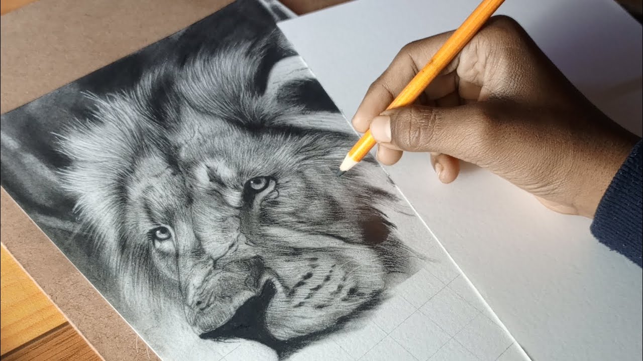 How to draw REALISTIC LION 🦁 ️ - YouTube