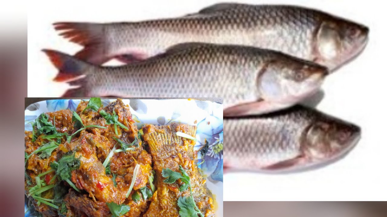 Masala Fish 🐟 || japani rohi ||Testi Masala Fish Fry - YouTube