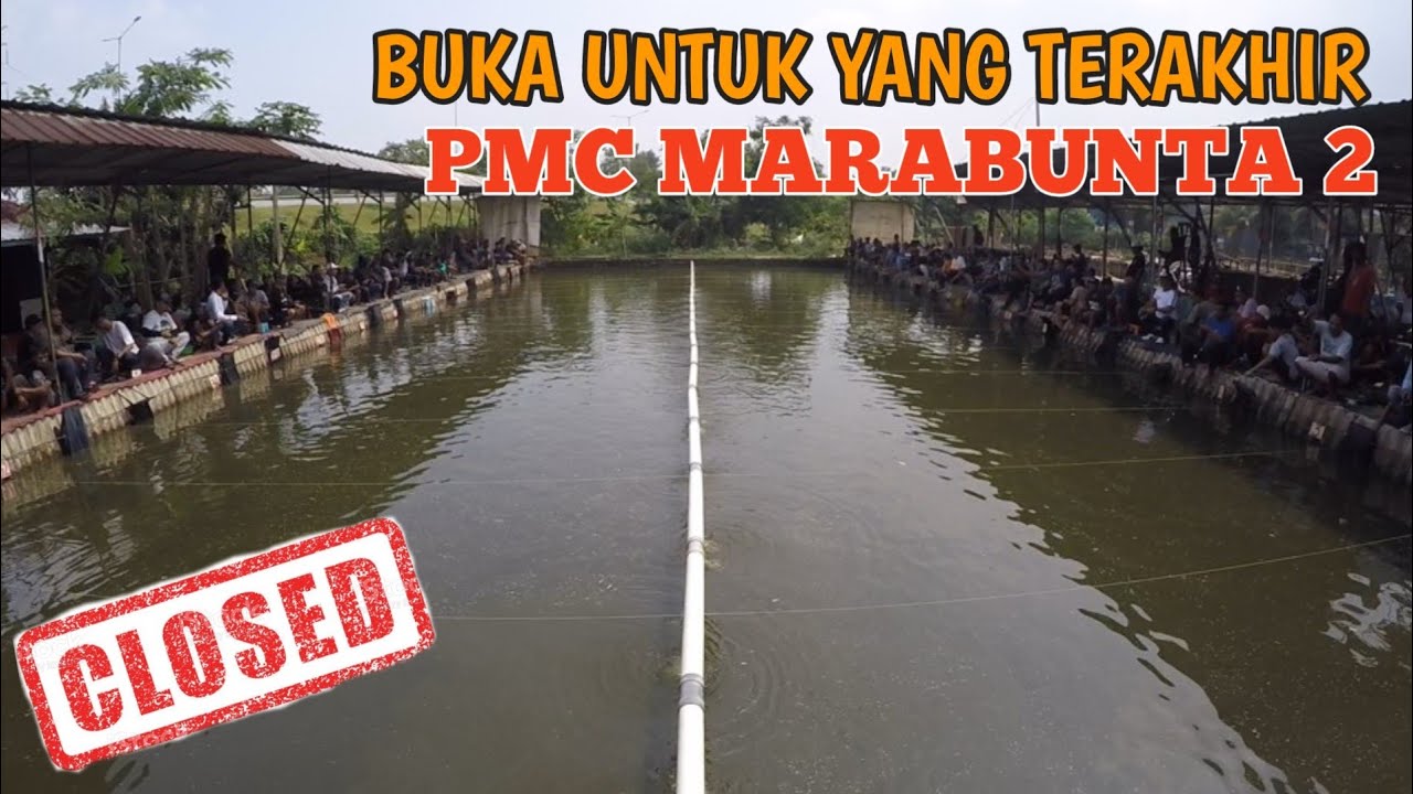 THANK TO MARABUNTA (6 TAHUN) BUKA UNTUK YANG TERAKHIR 03-08-23 - YouTube