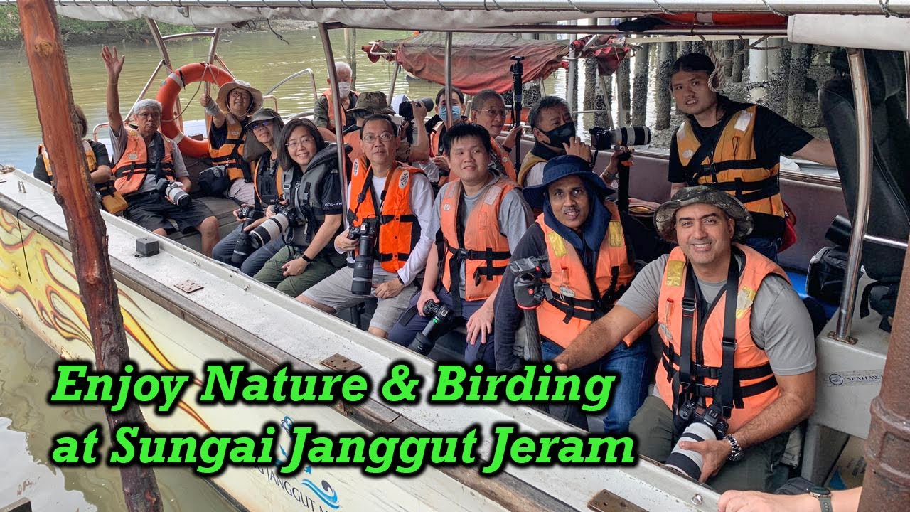 Enjoy Nature & Birding at Sungai Janggut Jeram | Selangor | Malaysia ...