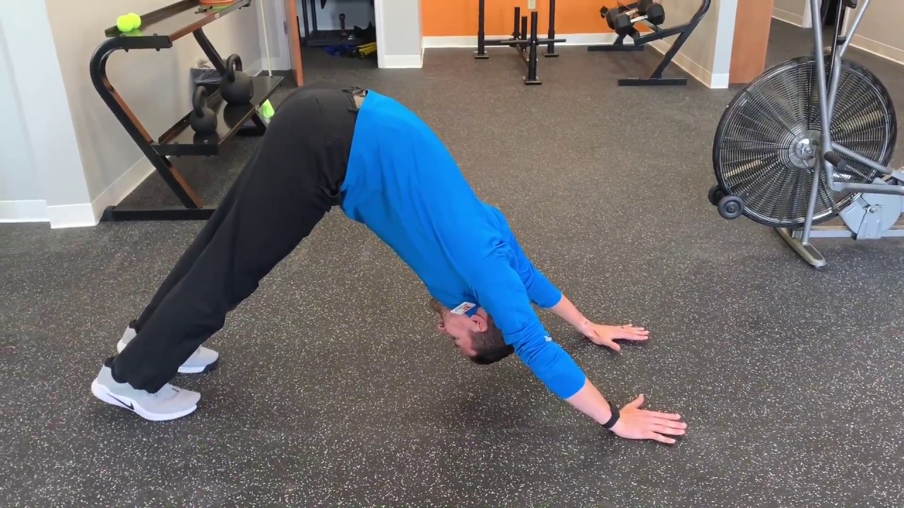 Downward Dog Progression - YouTube