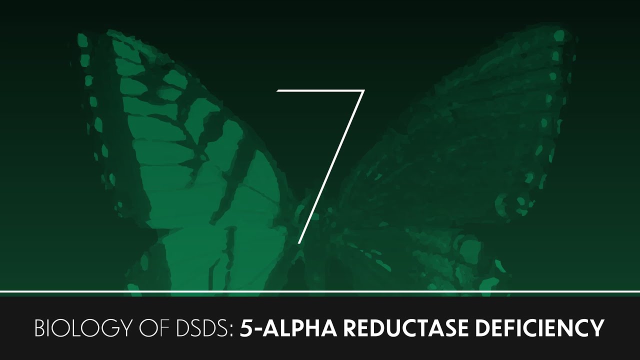Biology of DSDs (7) 5-alpha reductase deficiency - YouTube